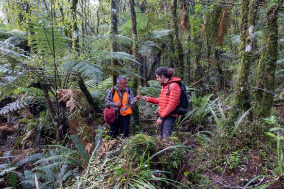 The findings of a frustrated forayer - New Zealand BIOTA